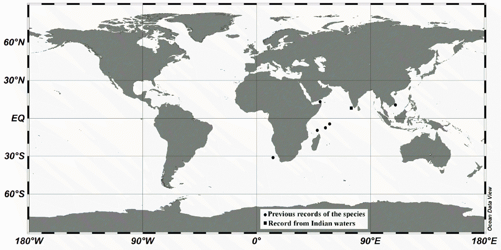 First record of deep-sea small eyed scabbard-fish from south eastern ...