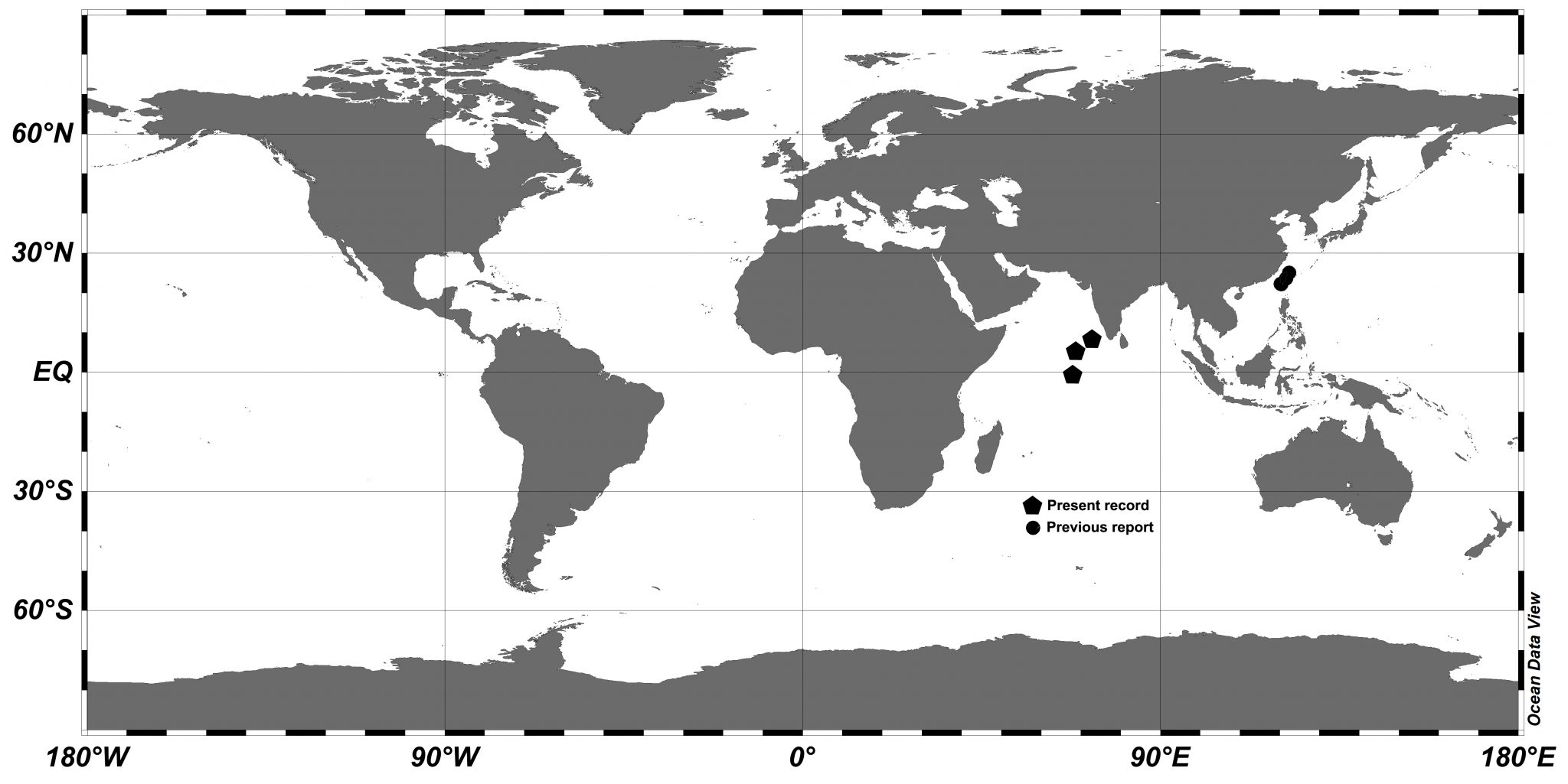 A Long-Barbeled Astronesthes Species from the Indian Ocean – IndOBIS
