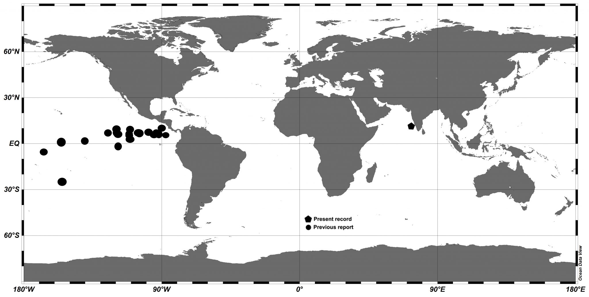 New record of mesopelagic lanternfish from the Indian Ocean – IndOBIS