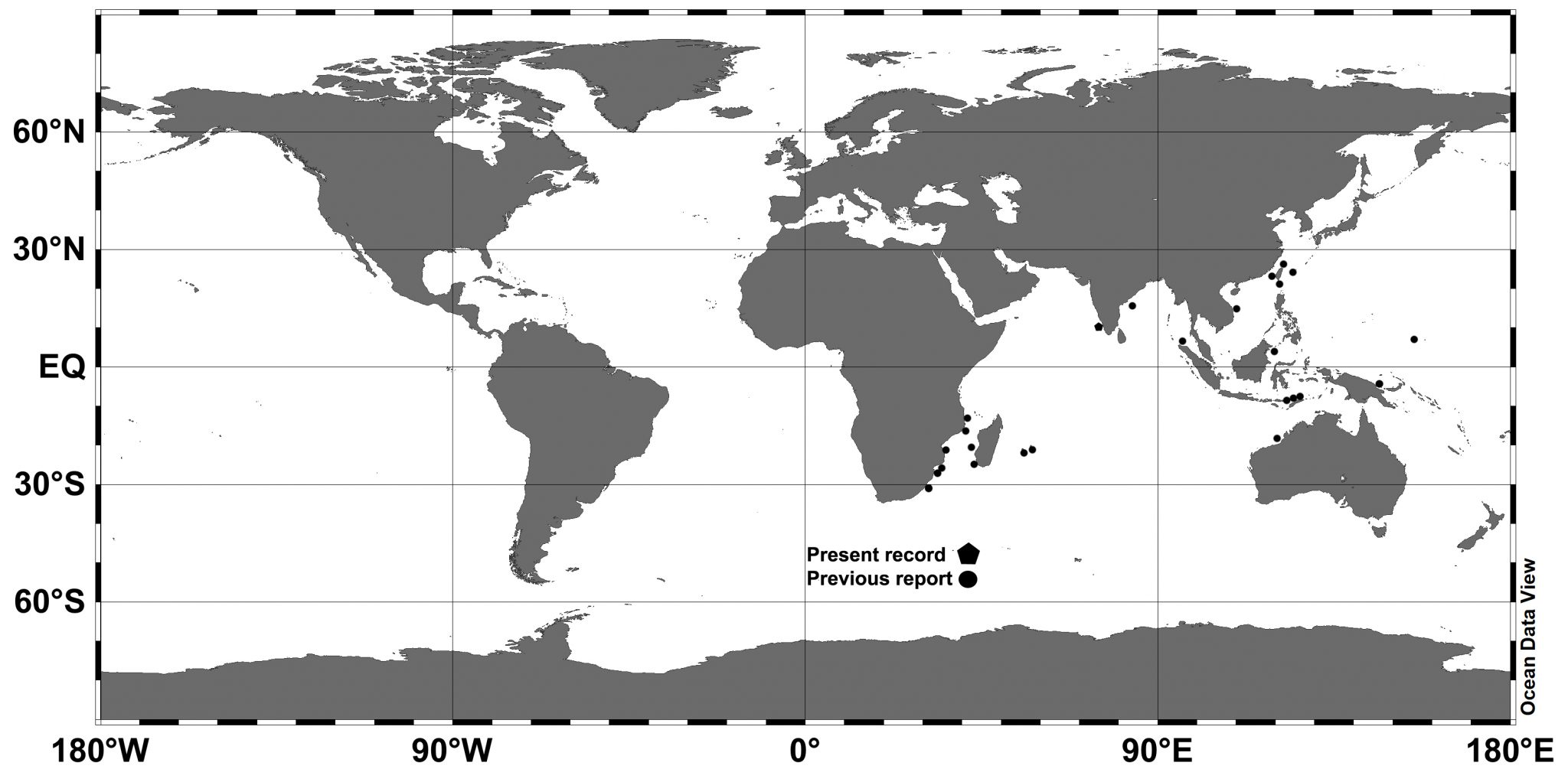 First record of McAdam’s Scorpionfish from the Arabian Sea – IndOBIS